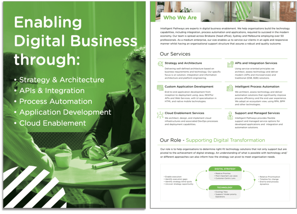 Company Overview - Intelligent Pathways